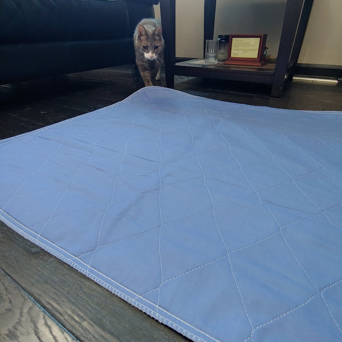 34x36 Blue Indicator Washable Puppy Pads – Personally Paws